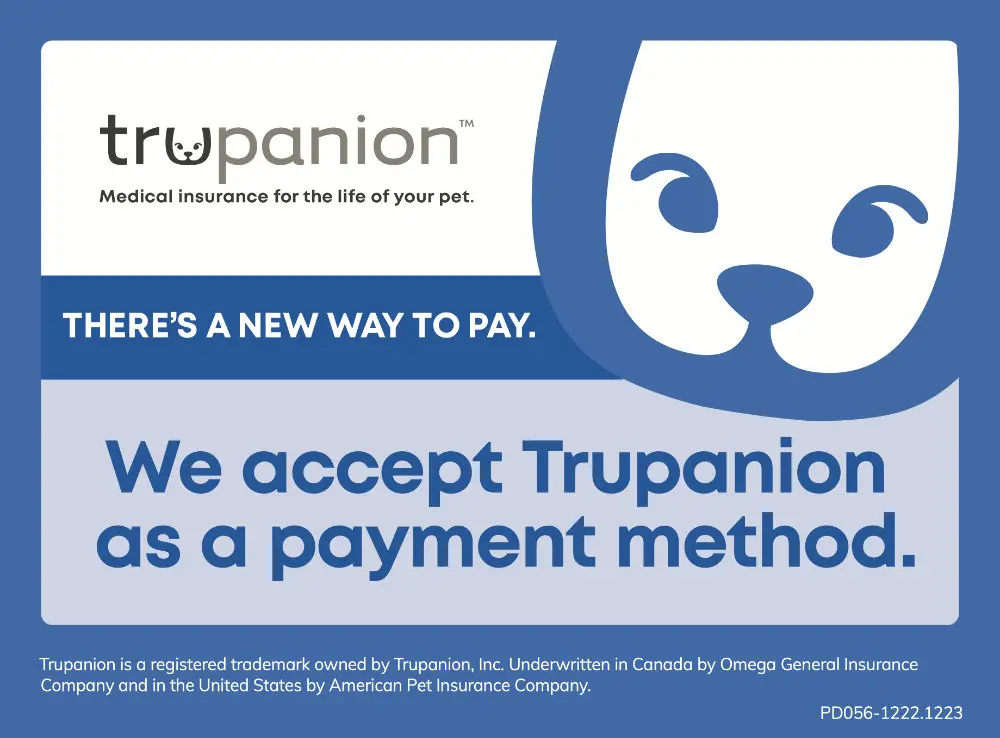 New Patient Forms & Payment Options